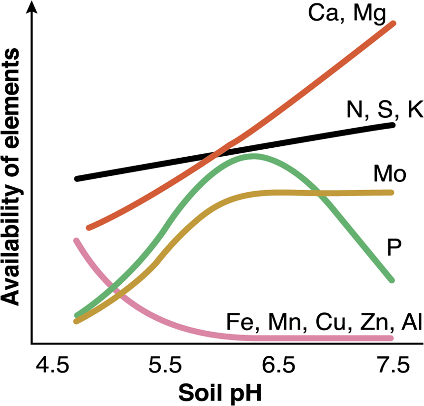Soil Health – Talborne Organics